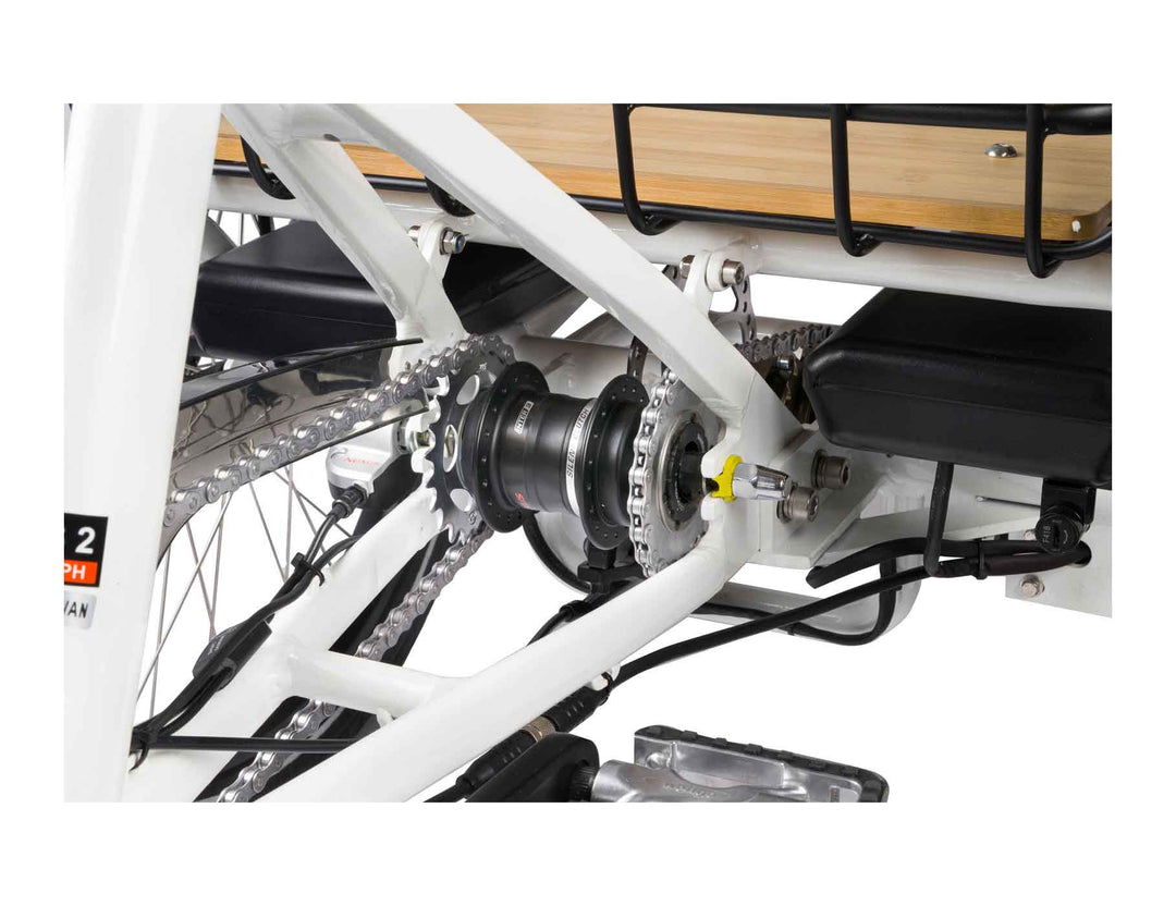 Powerful Adult Electric Tricycle - EVELO | Compass