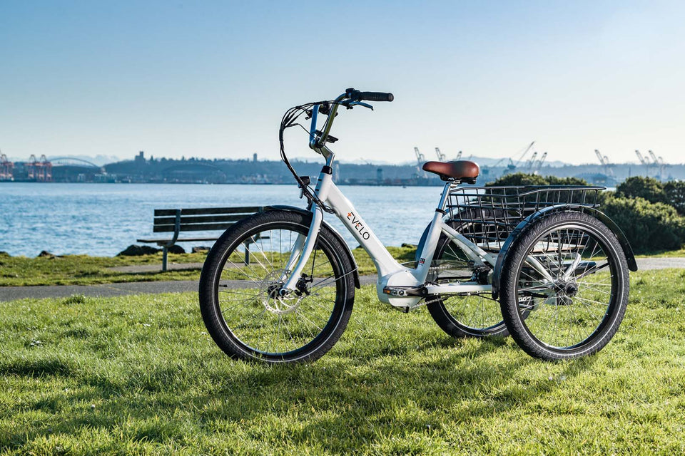 What Are Electric Bikes? How Do They Work? - EVELO