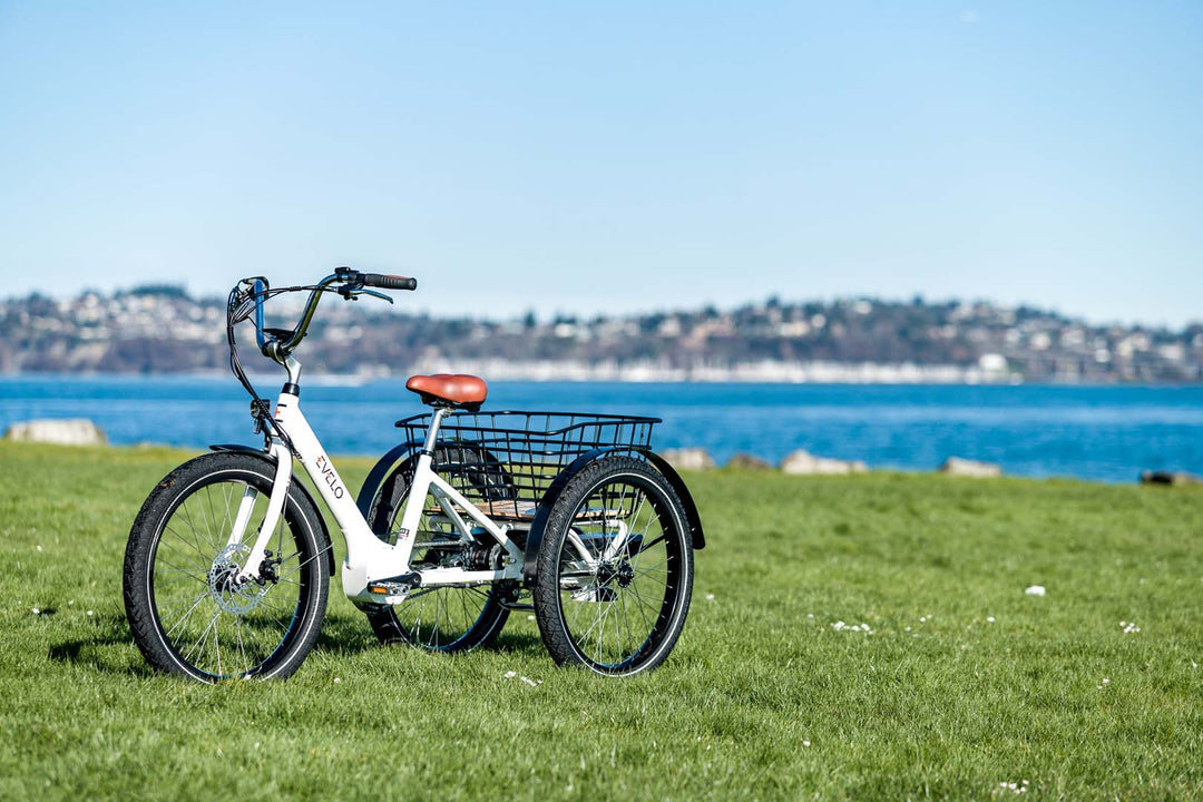 Powerful Adult Electric Tricycle - EVELO | Compass