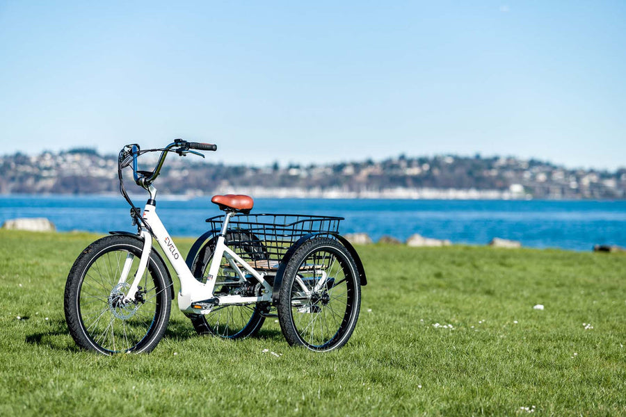 Powerful Adult Electric Tricycle - EVELO | Compass