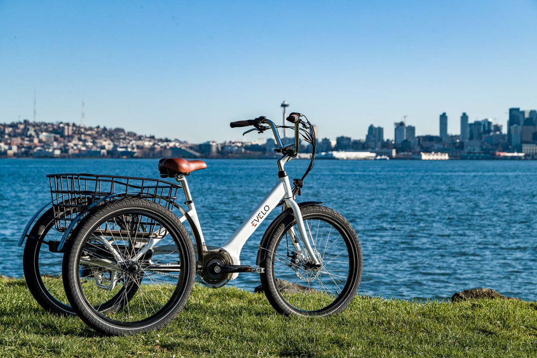 Powerful Adult Electric Tricycle - EVELO | Compass