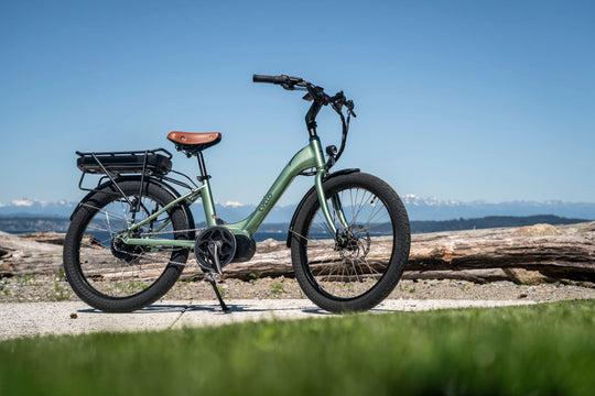 What Are Electric Bikes? How Do They Work? - EVELO